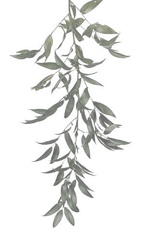 Floral Design Classes - School Of Floral Design - Phil Rulloda