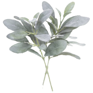 PRIVATE LESSONS WITH PHIL RULLODA - Southern California School of ...