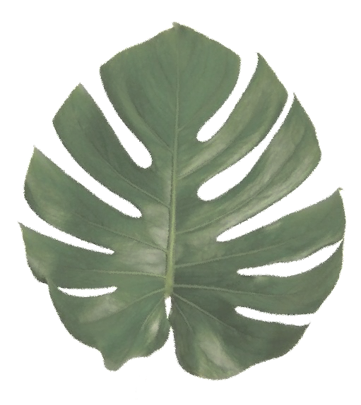 ADVANCED FLORAL DESIGN - Southern California School of Floral Design