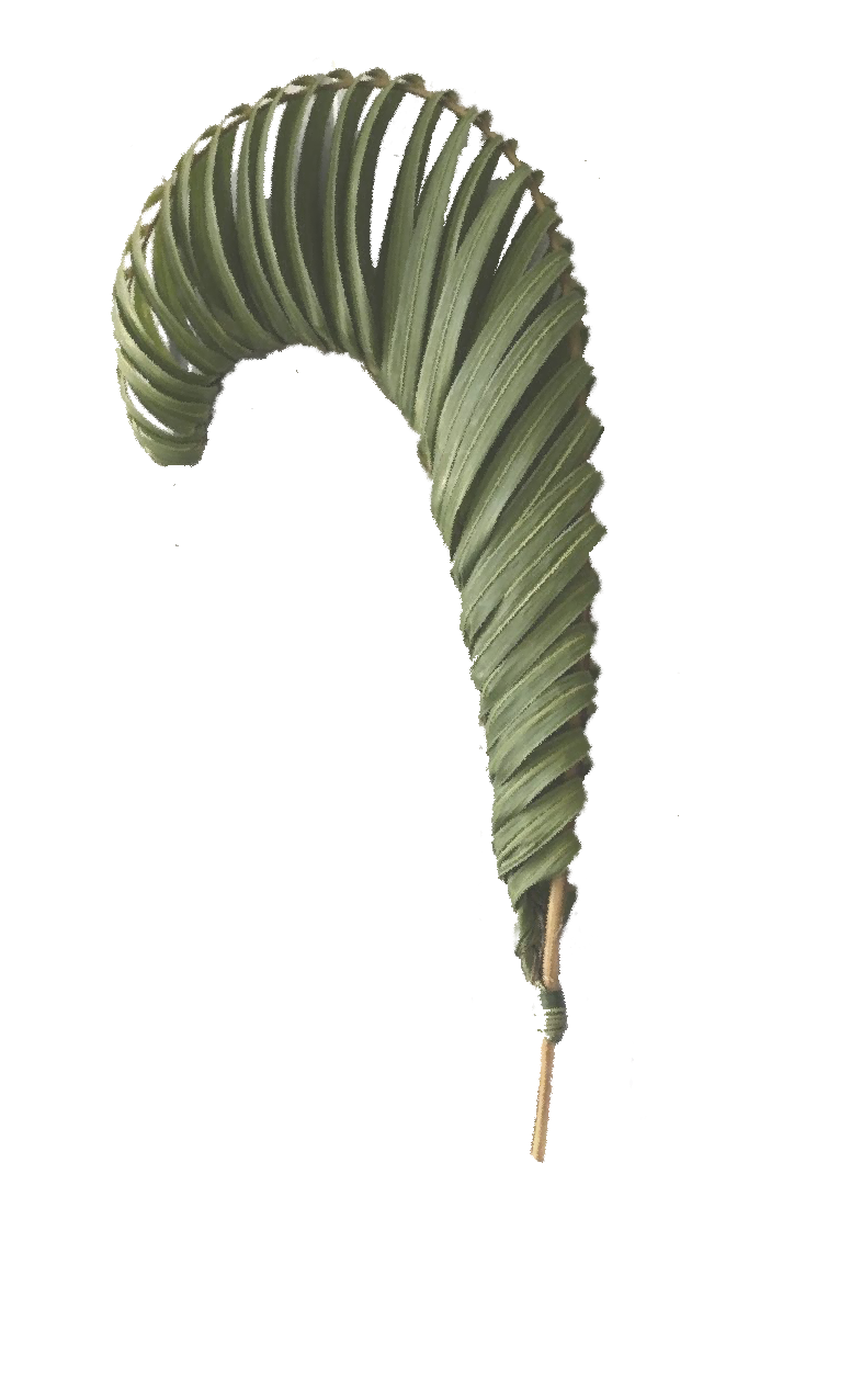 ADVANCED FLORAL DESIGN - Southern California School of Floral Design